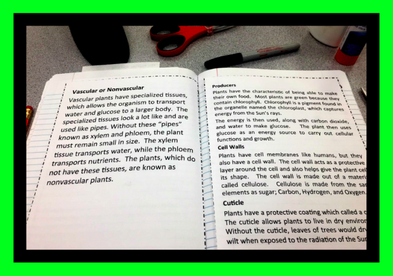 Photosynthesis Interactive Notebook - The STEM Center