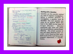 Scientific Method Interactive Notebook - The STEM Center