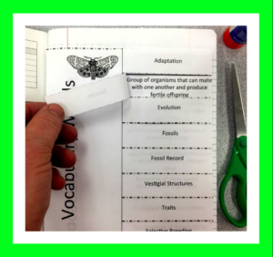 Change Over Time Interactive Notebook - The STEM Center
