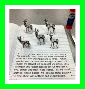 Change Over Time Interactive Notebook - The STEM Center