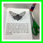 Change Over Time Interactive Notebook - The STEM Center