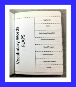 Body Systems Interactive Notebook - The STEM Center