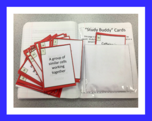 Body Systems Interactive Notebook - The STEM Center